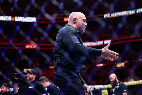 Joe Rogan Reveals What He Would Do With The Light Heavyweight Division