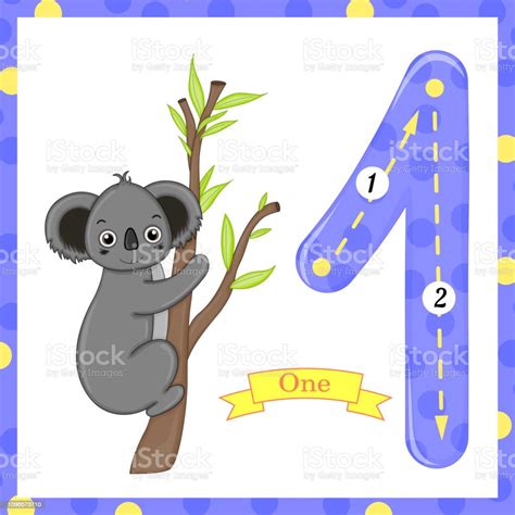 계산 하 고 학습 하는 아이 들을 위한 1 코알라와 함께 귀여운 어린이 Flashcard 한 추적 0명에 대한 스톡 벡터 아트 및 기타 이미지 Istock