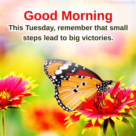 280 Tuesday Good Morning Blessings Quotes And Images Goodmorningmsg