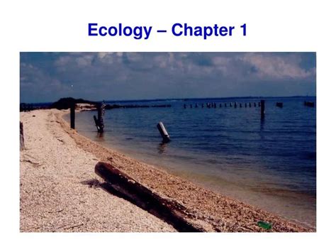 Ppt Ecology Chapter 1 Powerpoint Presentation Free Download Id 6904841