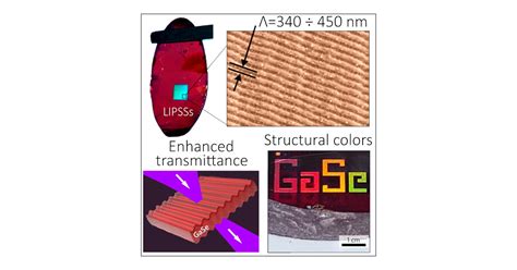 Laser Induced Periodic Surface Structures On Layered Gase Crystals Structural Coloring And