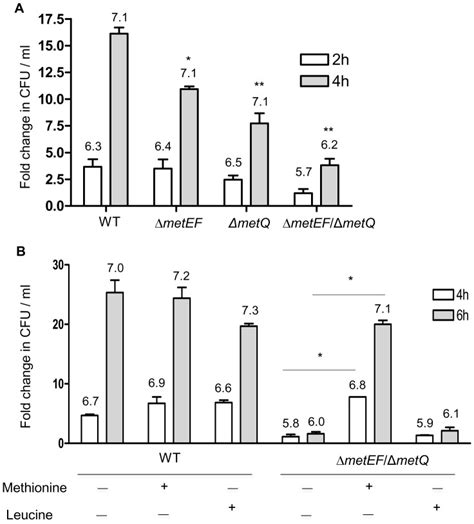 How To Calculate Cfu Per Ml How To Calculate Cell Concentration For Plating Cfu Assays