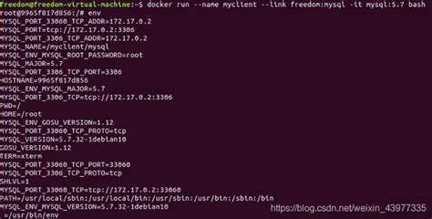 docker容器技术实验报告 docker实验报告 奉图的博客 csdn博客