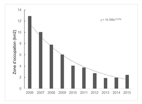 Rat Kangourou Dord Dipodomys Ordii évaluation Et Rapport De