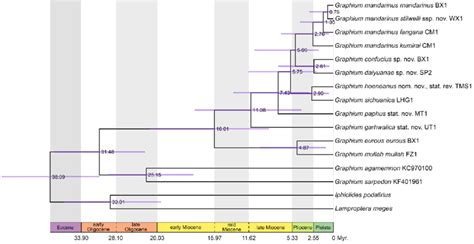 Bayesian Molecular Dating For Species And Subspecies In The Graphium Download Scientific