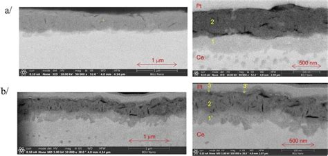 A Fib Sem Images With Two Different Magnifications Of The Oxide Download Scientific Diagram