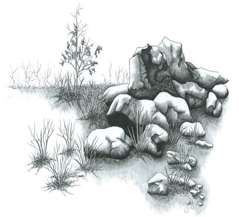 Best How To Draw Realistic Trees Plants Bushes And Rocks Images On Pinterest Tree