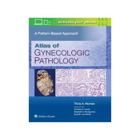 Atlas Of Gynecologic Pathology A Pattern Based Approach 1 E