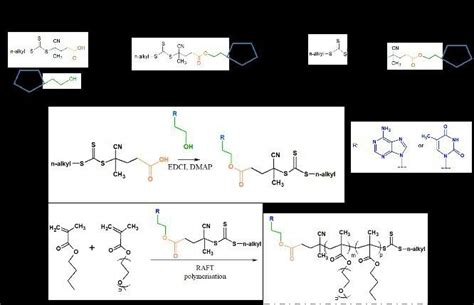 Synthesis Of Nucleobase Containing Copolymers By The Functionalization