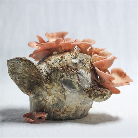 Living Sculpture Artist Abigail Browns Collaborations With Fungi