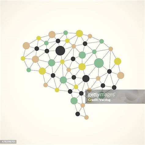 Lateral View Of The Brain Photos And Premium High Res Pictures Getty