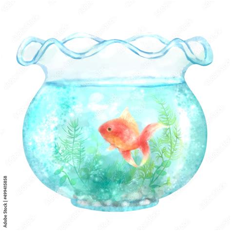 金魚鉢の中で涼しげに泳ぐ金魚 水彩イラスト素材 ilustração do Stock Adobe Stock