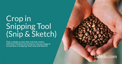 How To Crop In Windows Snipping Tool La De Du