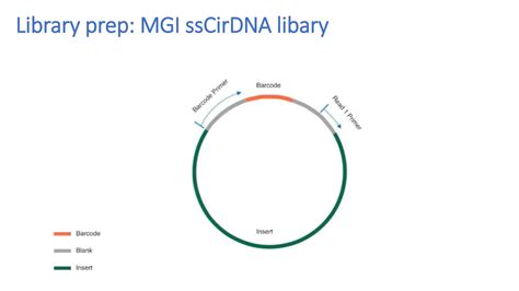 Mgi Dnbseq Sequencing Technology Shortpptx