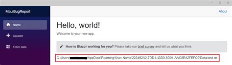 Filesystemappdatadirectory Get Different Path Between Debug And