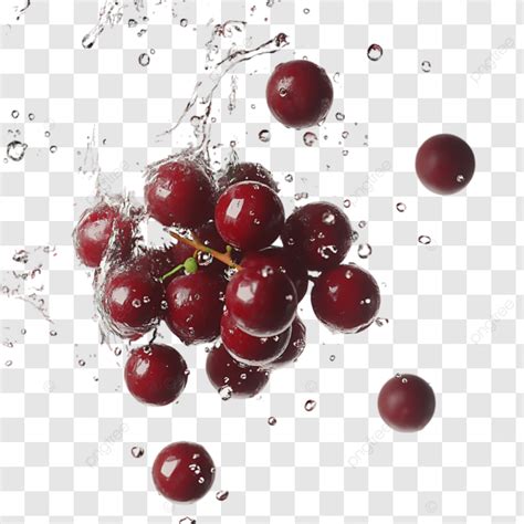 一堆新鮮的紅櫻桃 配水滴 用於水果和健康食品插圖 红樱桃 新鮮的水果 多汁的漿果png去背圖片素材免費下載，免摳圖設計圖案下載 Pngtree