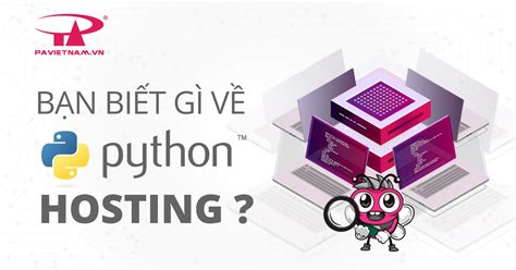 Python Hosting Là Gì Mua Python Hosting ở đâu