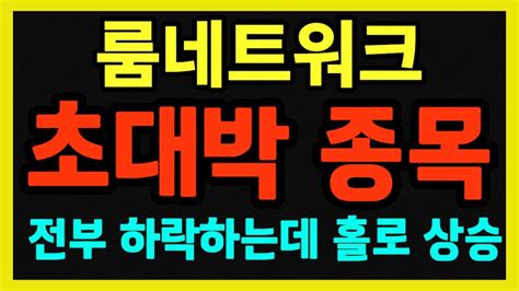 룸네트워크 초대박 종목 전부 하락하는데 홀로 상승 Youtube