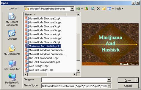 microsoft powerpoint lesson 02 the presentation file