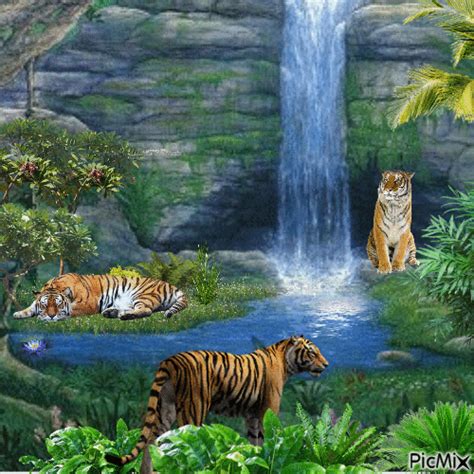 Wallpaper Tiger At Manuel Cade Blog Wallpaper Tiger At Manuel Cade Blog