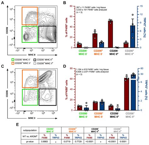 Flow Cytometry Analysis Of Testicular Macrophage Populations Of Young