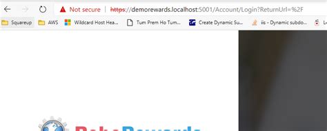 Core Multi Tenancy Using Iis Stack Overflow