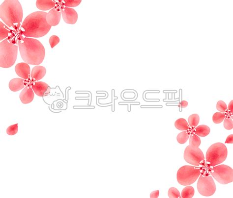 꽃이미지 봄 봄배경 Cherryblossom 꽃 사진이미지일러스트캘리그라피 메워니작가