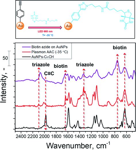 Sers Spectrum Of Biotin Azide And Sers Spectra Recorded On Aunpscch