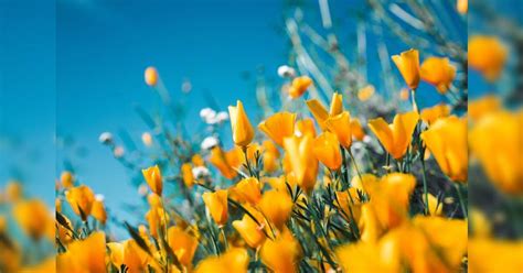 二十四節氣2024｜二十四節氣農曆日期？24節氣由來及意義、口訣、節氣歌