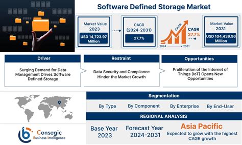 Software Defined Storage Market Size Share And Outlook 2031