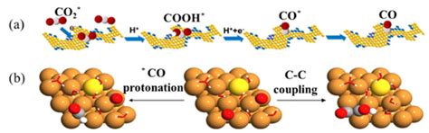 A Schematic Diagram Of The Path Of Electroreduction Of Co2 To Co Download Scientific Diagram