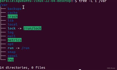 linux 体系下根目录文件夹都是干啥的？ linux 根目录下文件夹作用 csdn博客