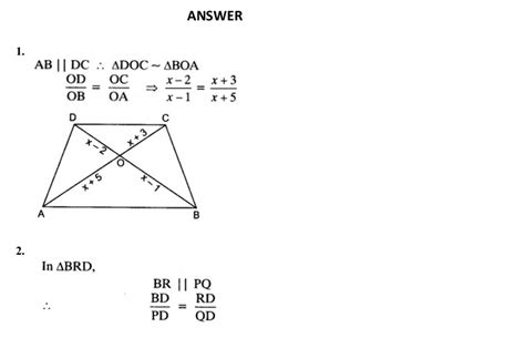 Important Questions Of Chapter 6 Triangle Class 10 Maths Neutron