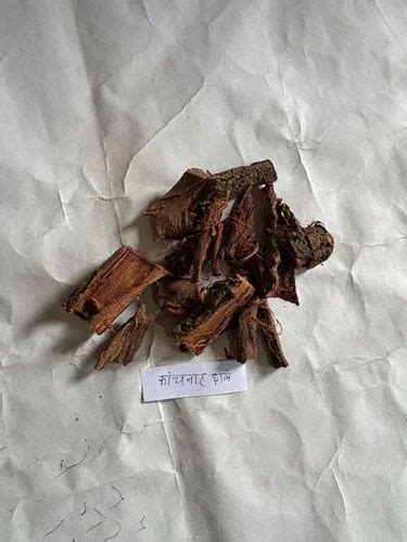 Dried Kachnar Chhal Packaging Size 1 Kg At ₹ 250 Kg In Jaipur Id 2855681659348