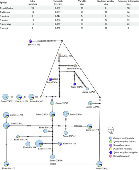 Genetic Diversity Of Mhc Class I Genes In 6 Species Of Scincidae Download Scientific Diagram