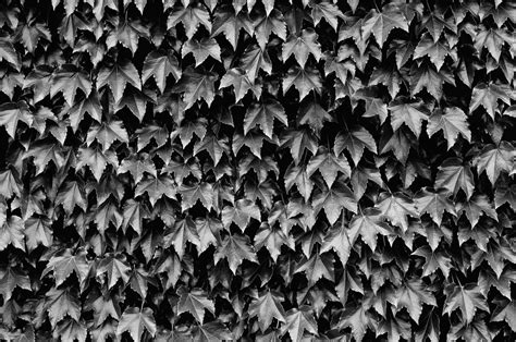 Rendering Tutorial Bump Maps Land