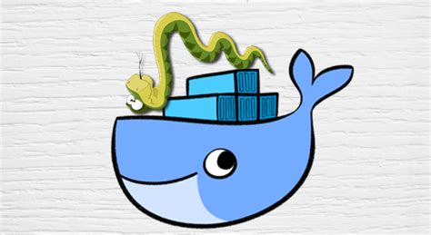 Running Python Script On Docker Reversenote