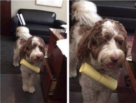 ამ ადამიანებმა იციან როგორ გაიხალისონ ცხოვრება ფოტოები განწყობისათვის