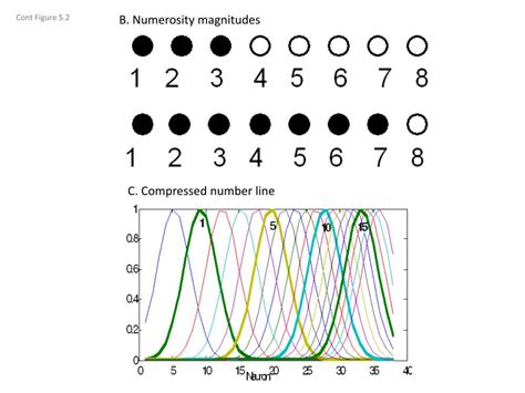 Ppt Alternative Schemes For Representing Numerical Magnitude