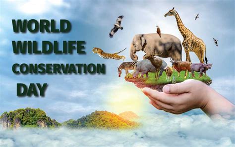 Wildlife Conservation Day Christine Elder