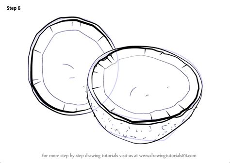 How To Draw A Coconut Fruits Step By Step Drawingtutorials Com
