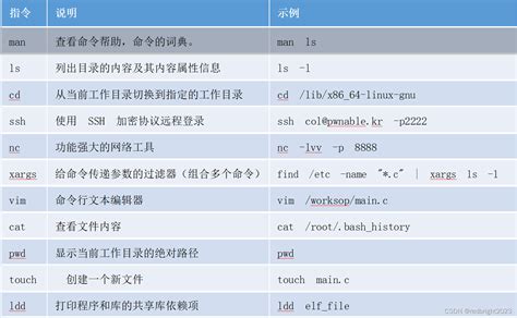 Pwn 入门基础 Csdn博客