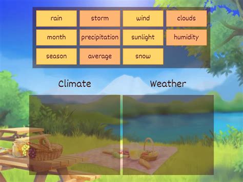 Word Sort Group Sort