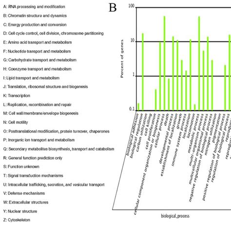 Go And Cog Function Classifications Of The Unigenes Of Different A