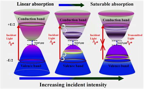 The Process Of Linear Absorption And Saturable Absorption Of Xene Due