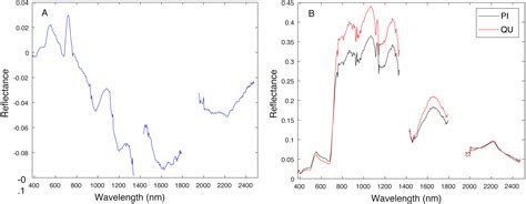 Hyperspectral Tree Crown Classification Using The Multiple Instance
