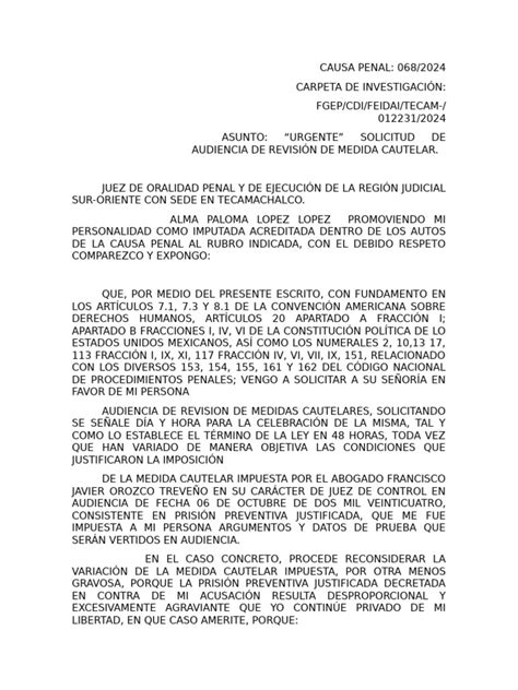 Solicitud Para Audiencia De Medidas Cautelares Alma Paloma Pdf