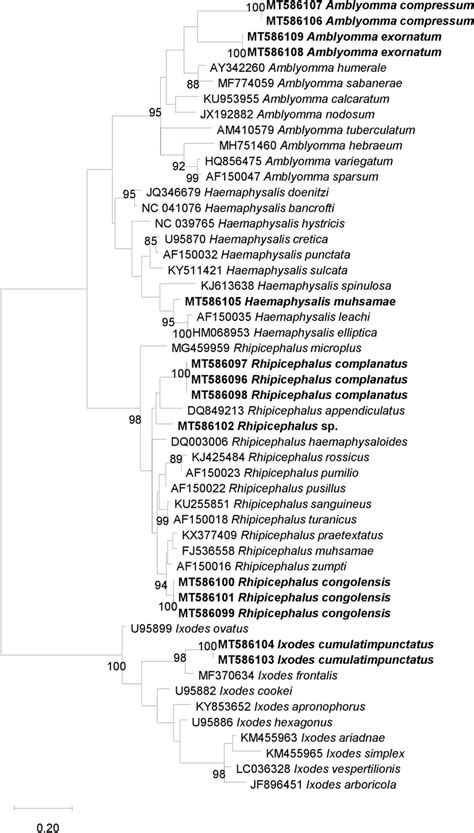 Comparison Of Male And Female Maldi Tof Ms Spectra From Two Different Download Scientific