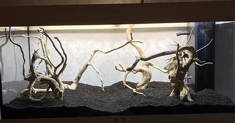 2nd Layout Album On Imgur