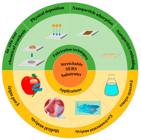 Nanomaterials Free Full Text Recent Development And Applications Of Stretchable Sers Substrates